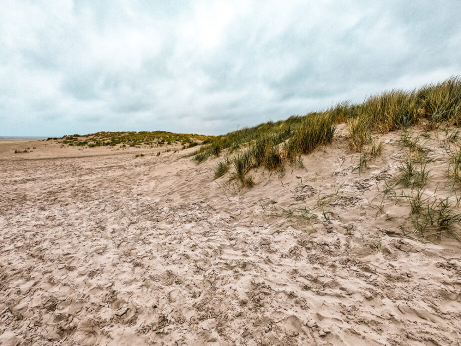 Alles wat je wilt weten over Schiermonnikoog - Travelling Pants