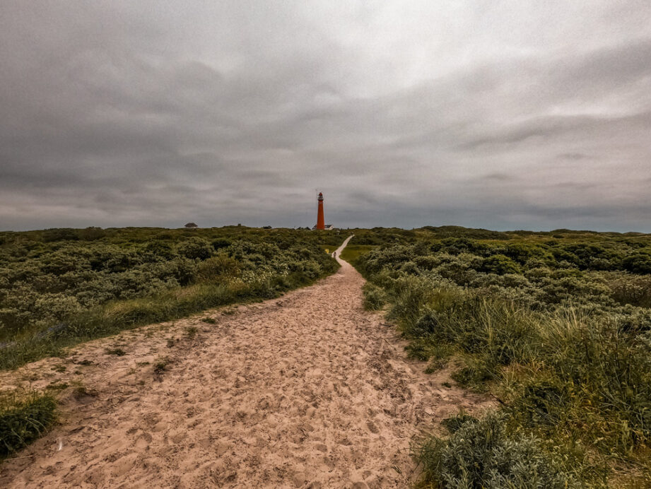 Alles wat je wilt weten over Schiermonnikoog - Travelling Pants